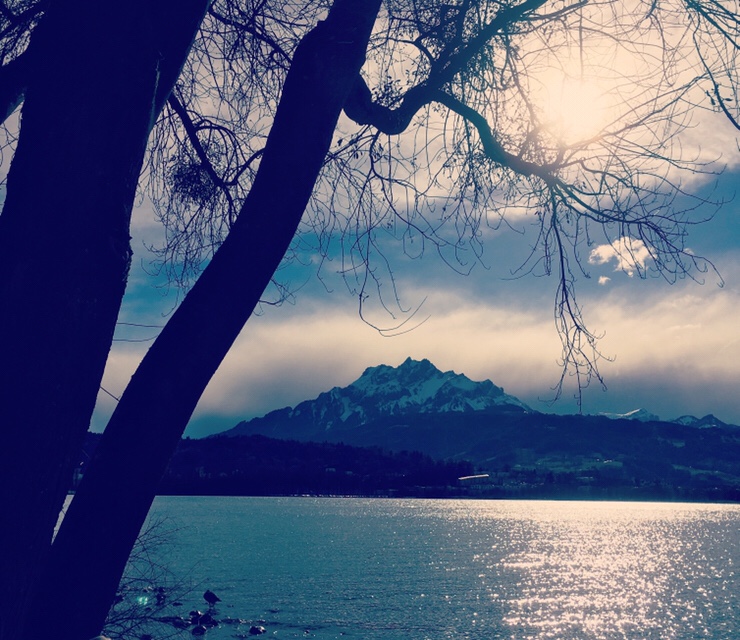 Die schönsten Bilder – puremyself